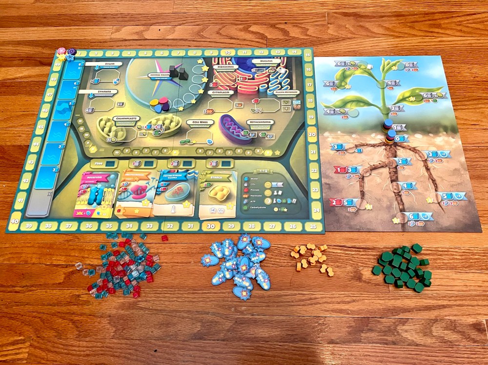 Cellulose: A Plant Cell Biology Game – The Skillful Meeple