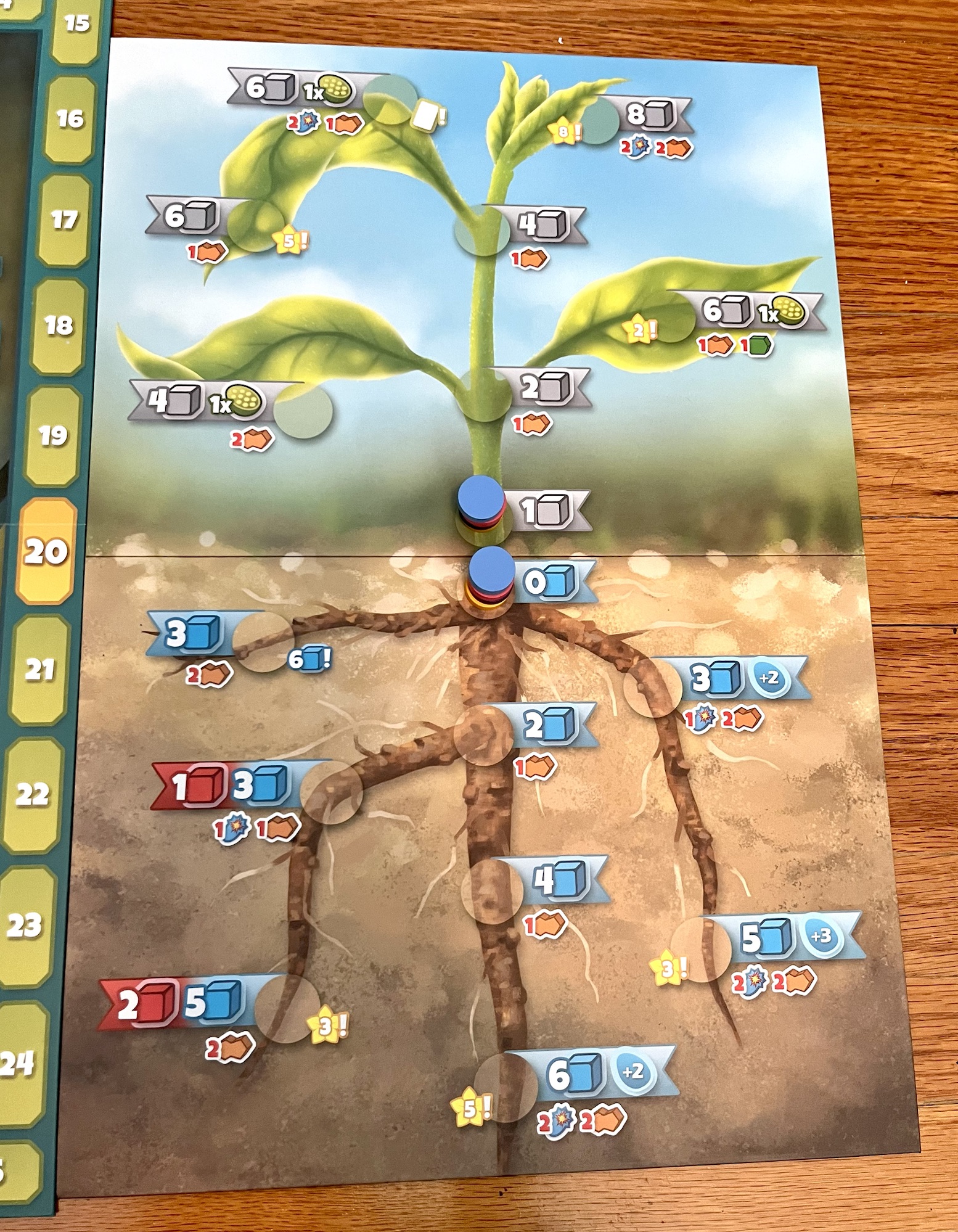 Cellulose: A Plant Cell Biology Game – The Skillful Meeple