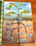 Cellulose: A Plant Cell Biology Game – The Skillful Meeple