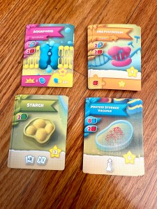 Cellulose: A Plant Cell Biology Game – The Skillful Meeple